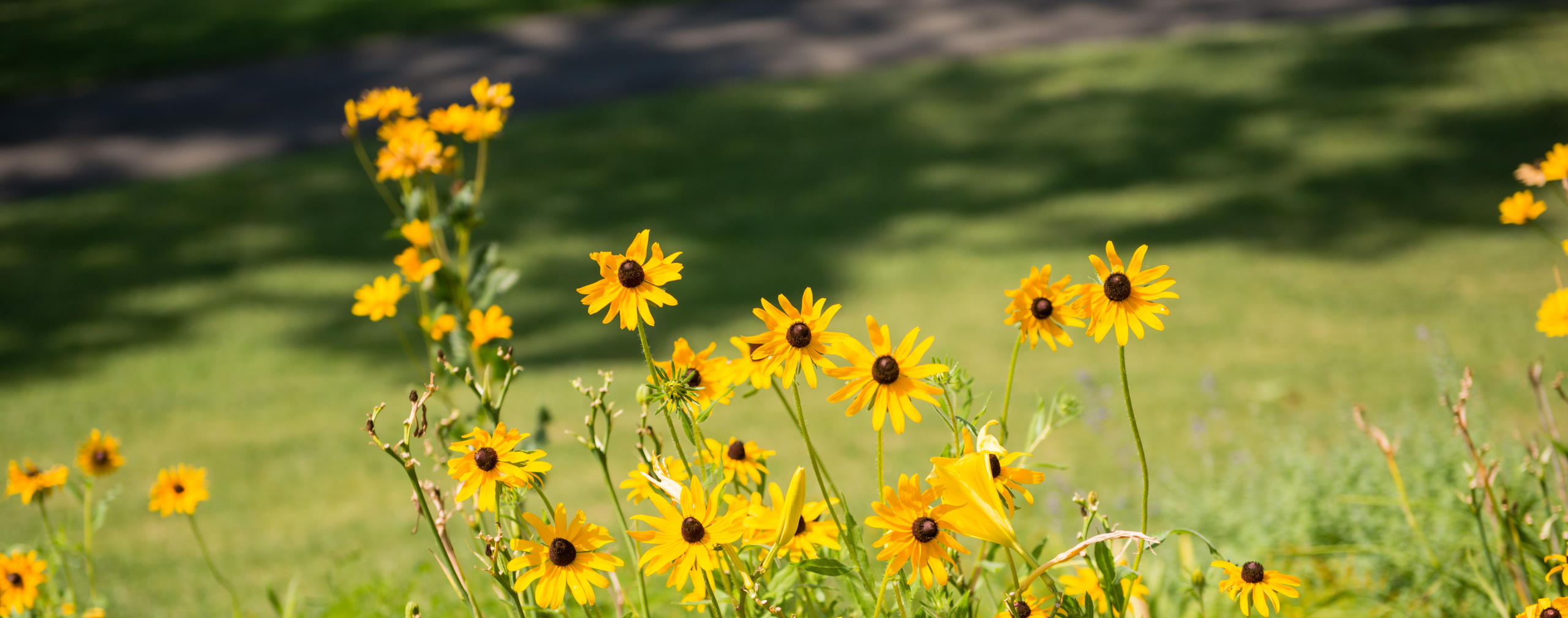 Our Staff - Highview Memorial